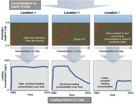 3 Distribution Of Dnapls And Associated Aqueous Sorbed And Vapor