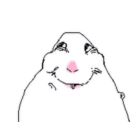 Funny Animal Faces Hamster Pics Funny Hamsters Blue Emoji