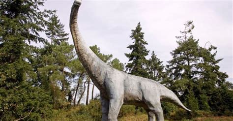 Skye Dinosaurs Things To Do Inverness Days Out