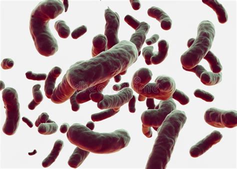3d Bacteria Ai Stock Illustration Illustration Of Petal 289235563