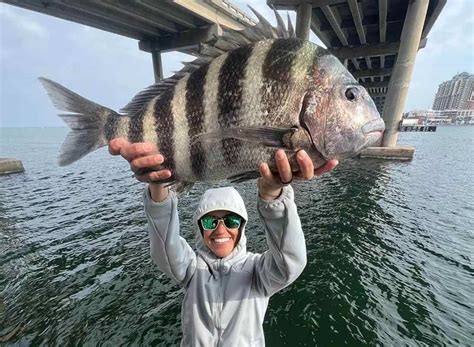 Top Secrets For The Best Sheepshead Fishing Of Your Life Florida