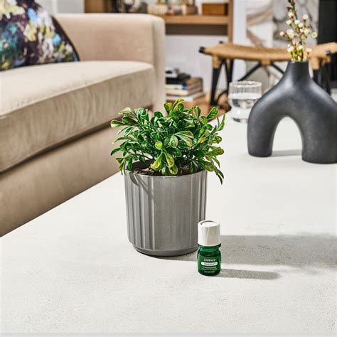 Lifelines Faux Plant Diffuser Box Plant Gray Color