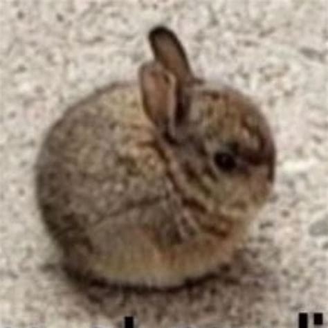 Modern Simplifier Youtube