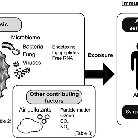 The Composition Of The Pollen Matrix Influencing The Sensitizing