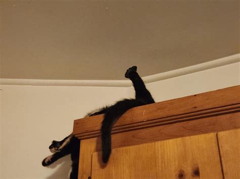 Best Multidimensional Images On Pholder Iamverysmart Bindingofisaac And High Strangeness