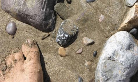 12 Extreme Pebble Size Range Download Scientific Diagram