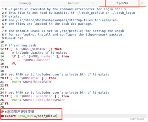 linux脚本编程：shell python perl及其环境变量 csdn博客