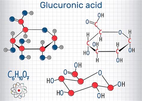Молекула глюкуроновой кислоты Структурная химическая формула и модель