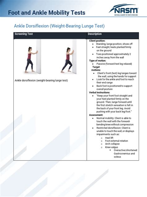Ankle Dorsiflexion Mobility Assessment Pdf Foot Ankle