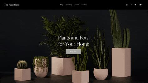Schwartz Edmisten Web Design Squarespace Css Expert