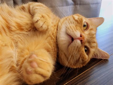 花江 夏樹 On Twitter