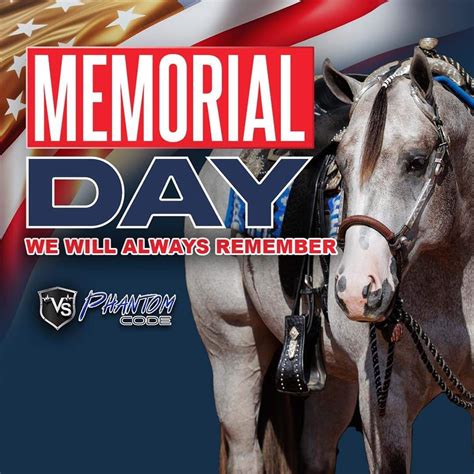 Vs Phantom Code On This Day Of Remembrance We Pay