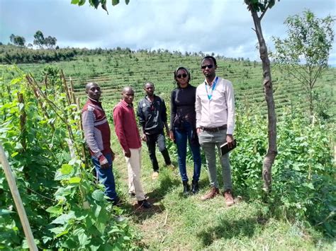 Aime Kayumba Posted On Linkedin