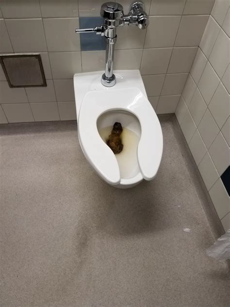 Sexy Teen Toilet Poop Telegraph