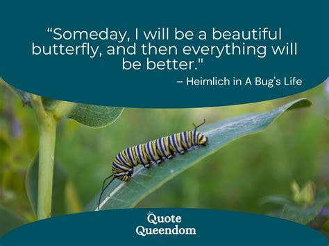 Butterfly Quotes To Celebrate Lifes Journey