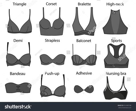 2675 Types Bra 图片、库存照片和矢量图 Shutterstock