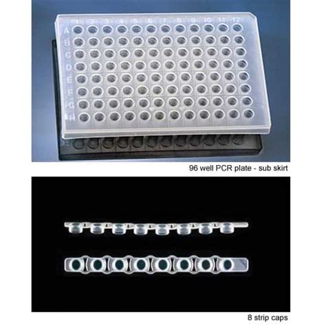 96 Well Pcr Plate With 8 Strip Caps Molecular Cloning Laboratories Mclab