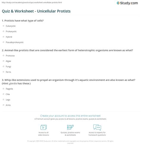 Quiz And Worksheet Unicellular Protists