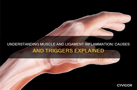 Understanding Muscle And Ligament Inflammation Causes And Triggers
