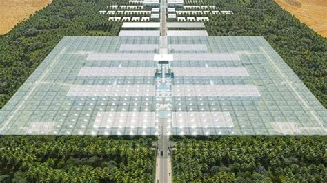 ‘claims Of Reinventing The Hospital Are Mostly Framed In Selective