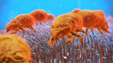 Chitinase Like Proteins Drive Airway Remodeling In Allergic Asthma