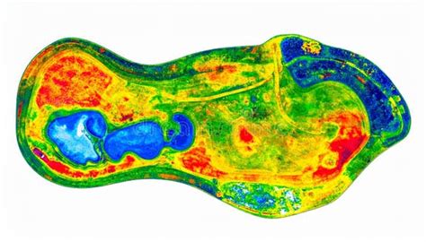 Complex Temperature Gradients Stock Illustrations 15 Complex
