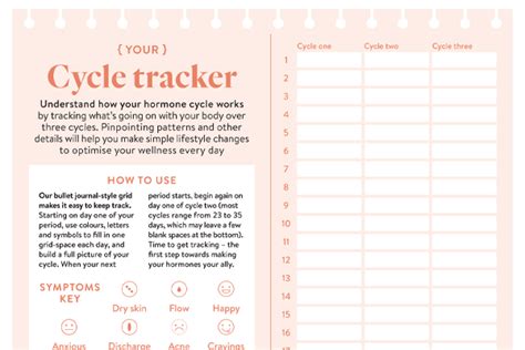 The 4 Phases Of Your Menstrual Cycle Expert Advice Handb