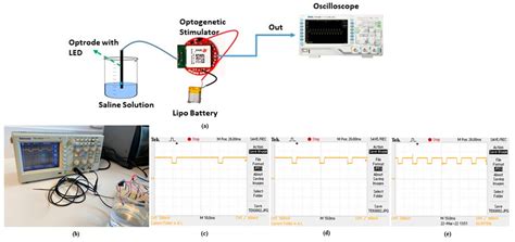 A Miniaturized Closed Loop Optogenetic Brain Stimulation Device