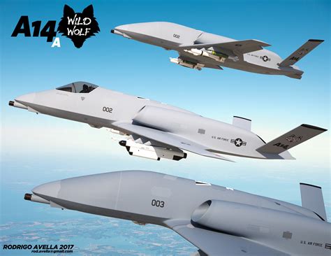 A14 A Wild Wolf Behance