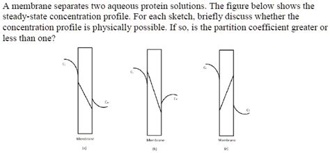 A Membrane Separates Two Aqueous Protein Solutions The Figure Below