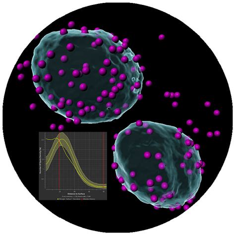 Imaris Upgrade Imaris Oxford Instruments