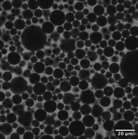 Physics Of Foam Strangely Resembles Ai Training