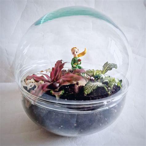 Mazais Princis 195cm X 195cm Ekosistēmas Veikals Manaekosistema