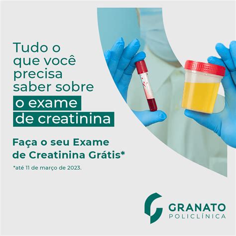 Exame De Creatinina Tudo O Que Você Precisa Saber Granato