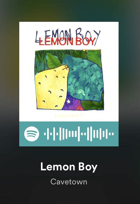Pin By Gr00sycat On Spotify Codes Spotify Boys Coding