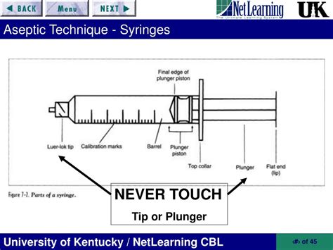 Parts Of A Syringe That Should Not Be Touched At Abigail Mathy Blog
