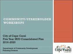 City Of Cape Coral Five Year Hud Consolidated Plan 2016 2020