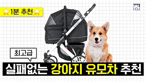 강아지 유모차 추천 Best 3 튼튼하고 디자인도 고급스러운 강아지 유모차 추천 Youtube