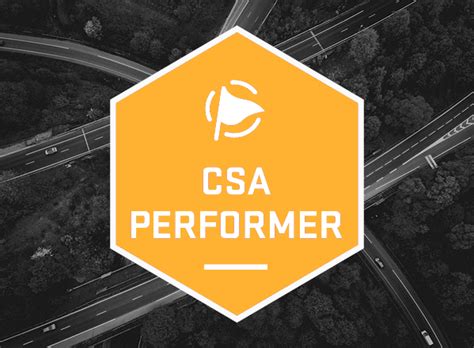 Addressing The 7 Basics Of Fmcsa Blog Supervision