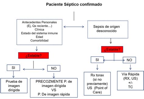 Algoritmo De Imagen Ante La Sospecha De Sepsisde Origen Abdominal En