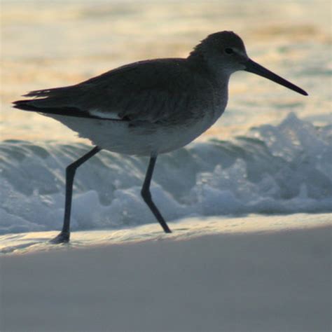 Mary Muller Coerver ~~ Mtmc Photography Youtube