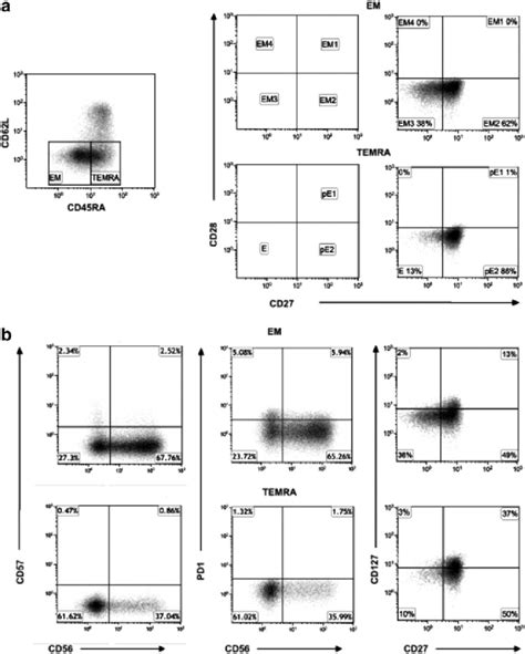 A Analysis Of Cd28 And Cd27 Expression Better Defines Em And Emra