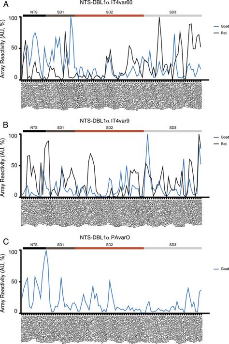 Analysis Of Epitope Recognition By Peptide Microarray Antibodies Download Scientific Diagram
