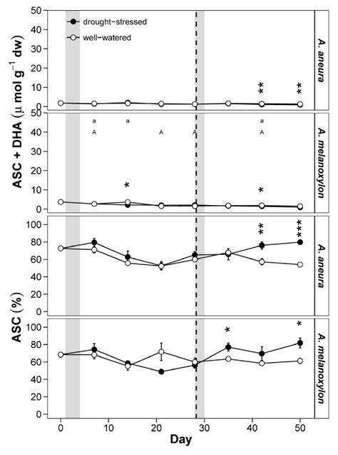 Total Ascorbic Acid Concentration Asc Dha And Ratio Of Reduced To