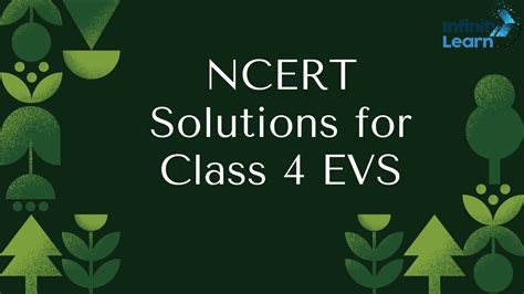 Ncert Class 4 Evs Solutions Free Pdfs For Young Learners