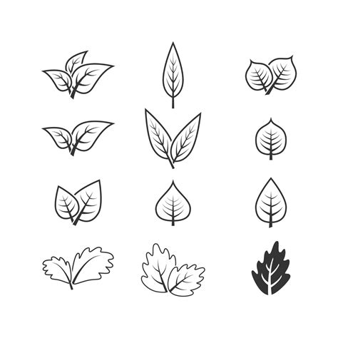 Leaf Icon Graphic Vector Design Illustration 27273115 Vector Art At