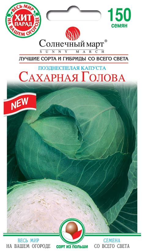 Капуста сахарная голова: описание, урожайность, посадка и уход ...
