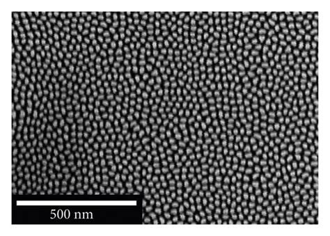 Scanning Electron Microscope Sem Image Of A “brush Cut” Morphology