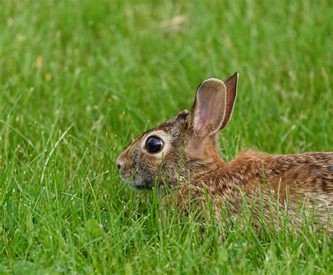 Cutecameltoe Photos Download The Best Free Cutecameltoe Stock