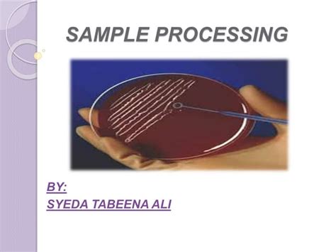 Microbiologica Samples Processing Pptx Chemistry Science